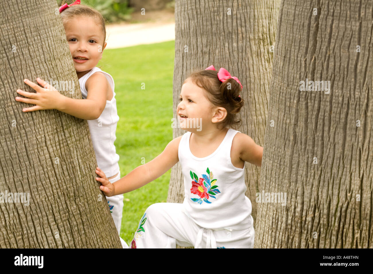 Girls (2-3) standing by tree trunk Stock Photo - Alamy