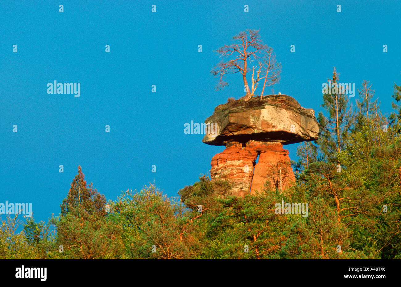 Weather beaten sandstone hi-res stock photography and images - Alamy