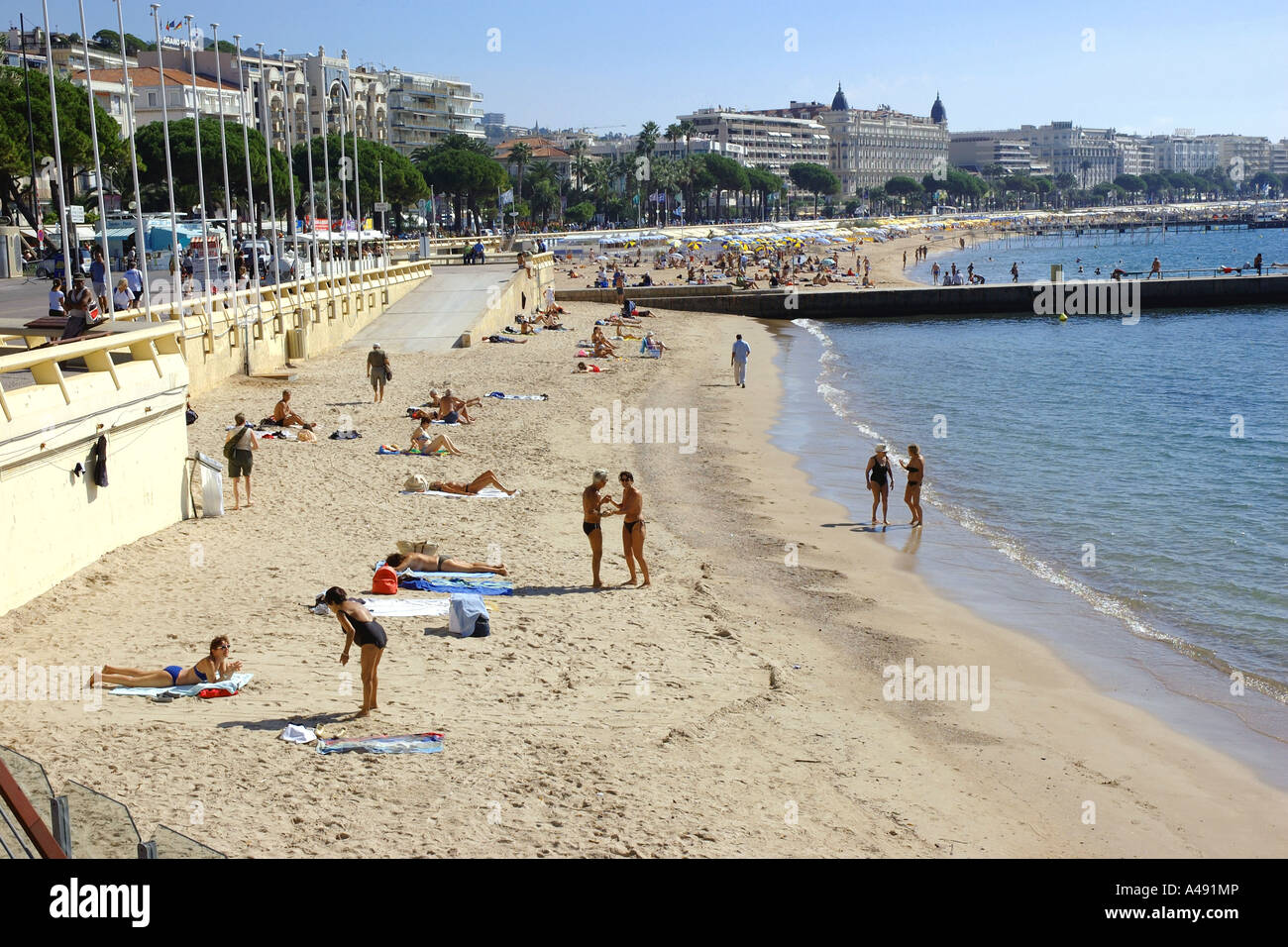 Panoramic view of seafront & beach of Cannes Côte D'Azur Cote D Azur ...