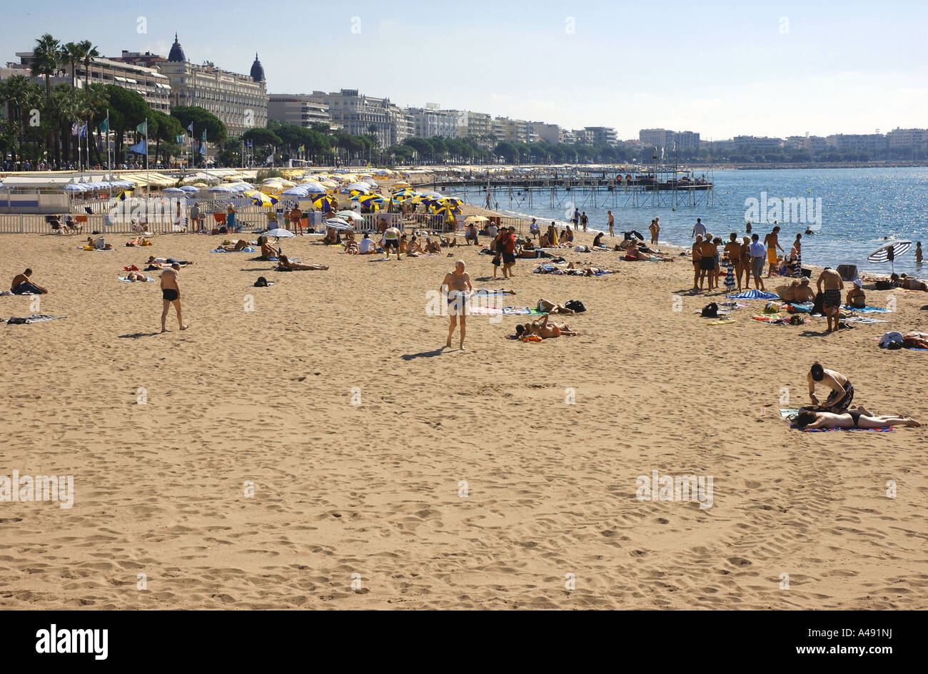 Panoramic view of seafront & beach of Cannes Côte D'Azur Cote D Azur ...