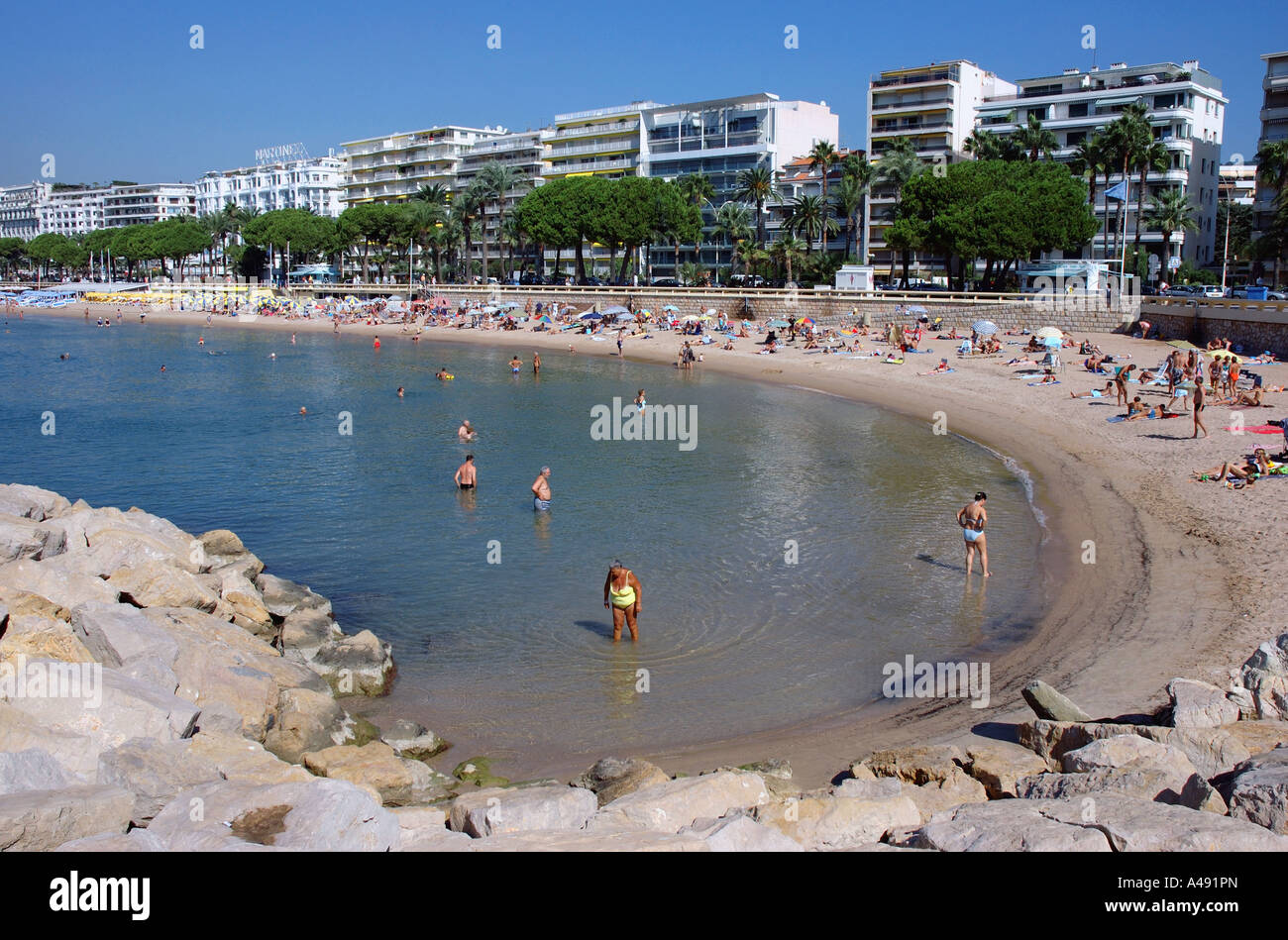 Panoramic view of seafront & beach of Cannes Côte D'Azur Cote D Azur ...