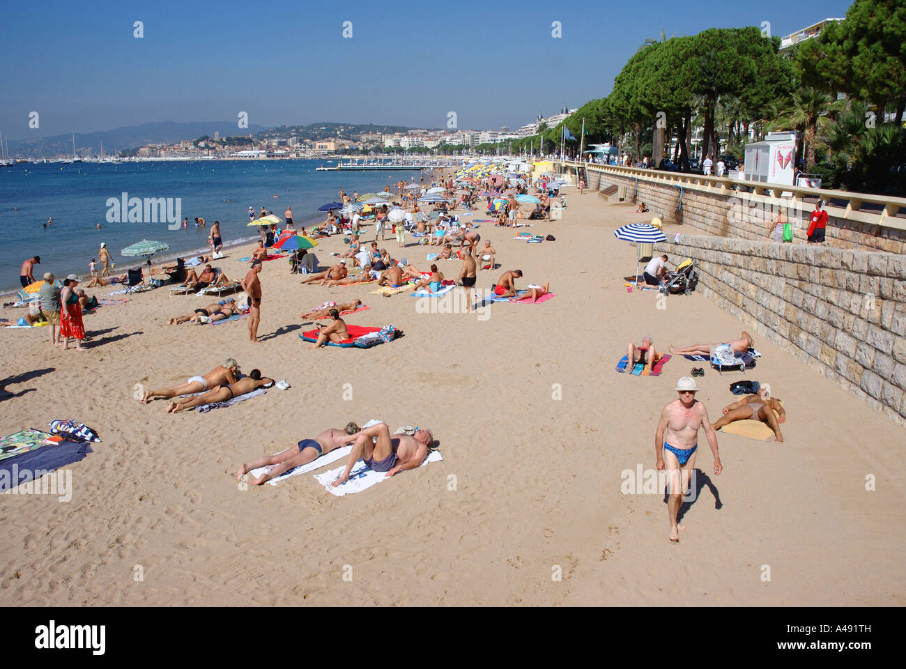 Panoramic view of seafront & beach of Cannes Côte D'Azur Cote D Azur ...
