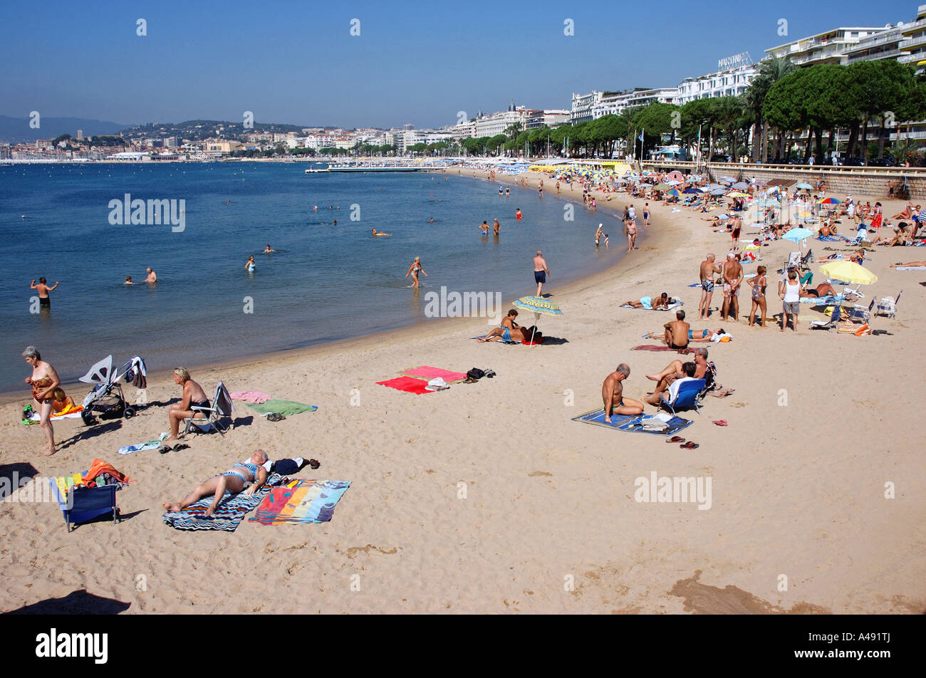 Panoramic view of seafront & beach of Cannes Côte D'Azur Cote D Azur ...