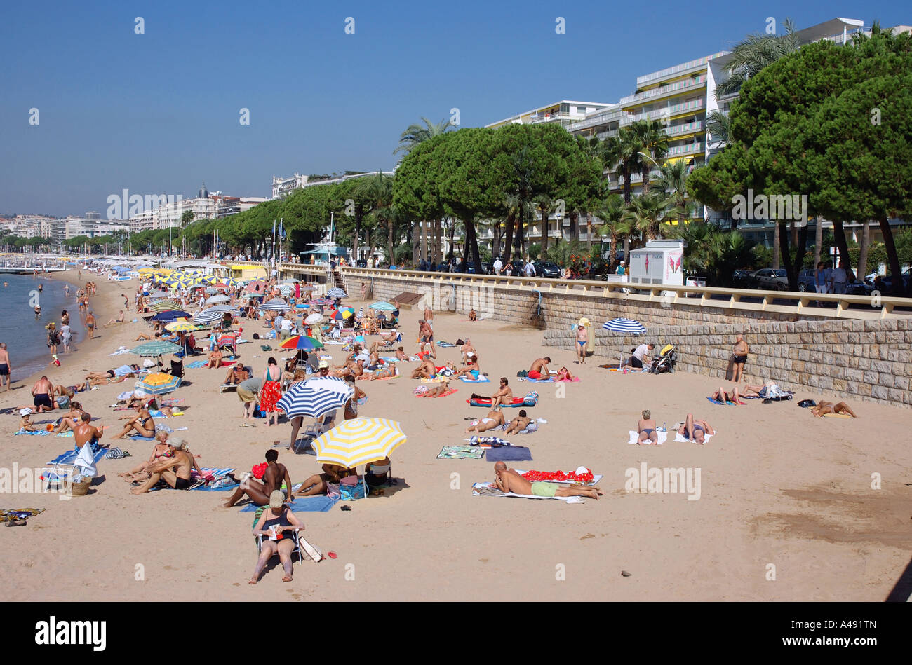 Panoramic view of seafront & beach of Cannes Côte D'Azur Cote D Azur ...
