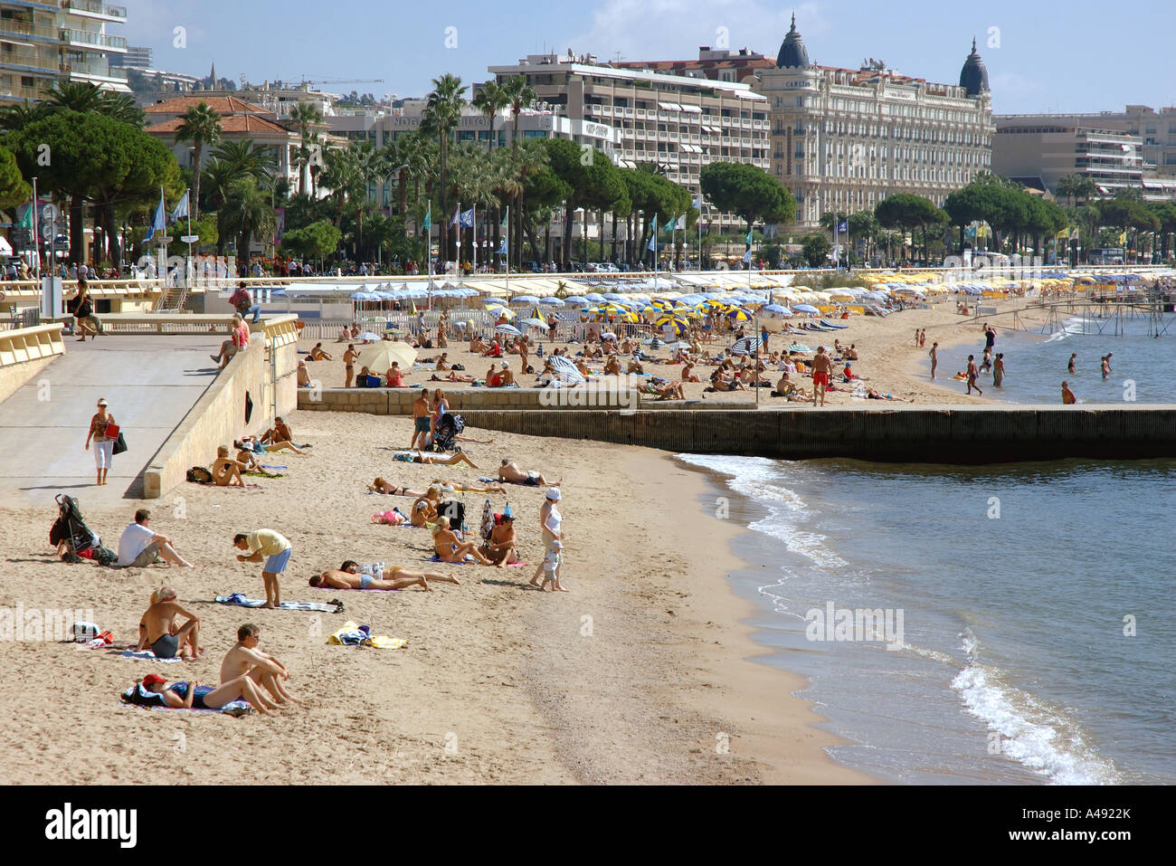 Panoramic view of seafront & beach of Cannes Côte D'Azur Cote D Azur ...