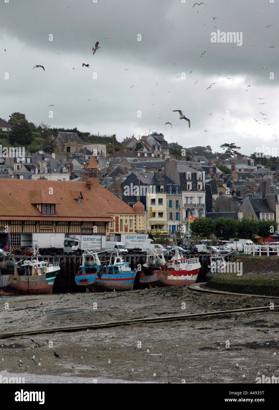 Panoramic View of Trouville English Channel La Manche Normandy ...