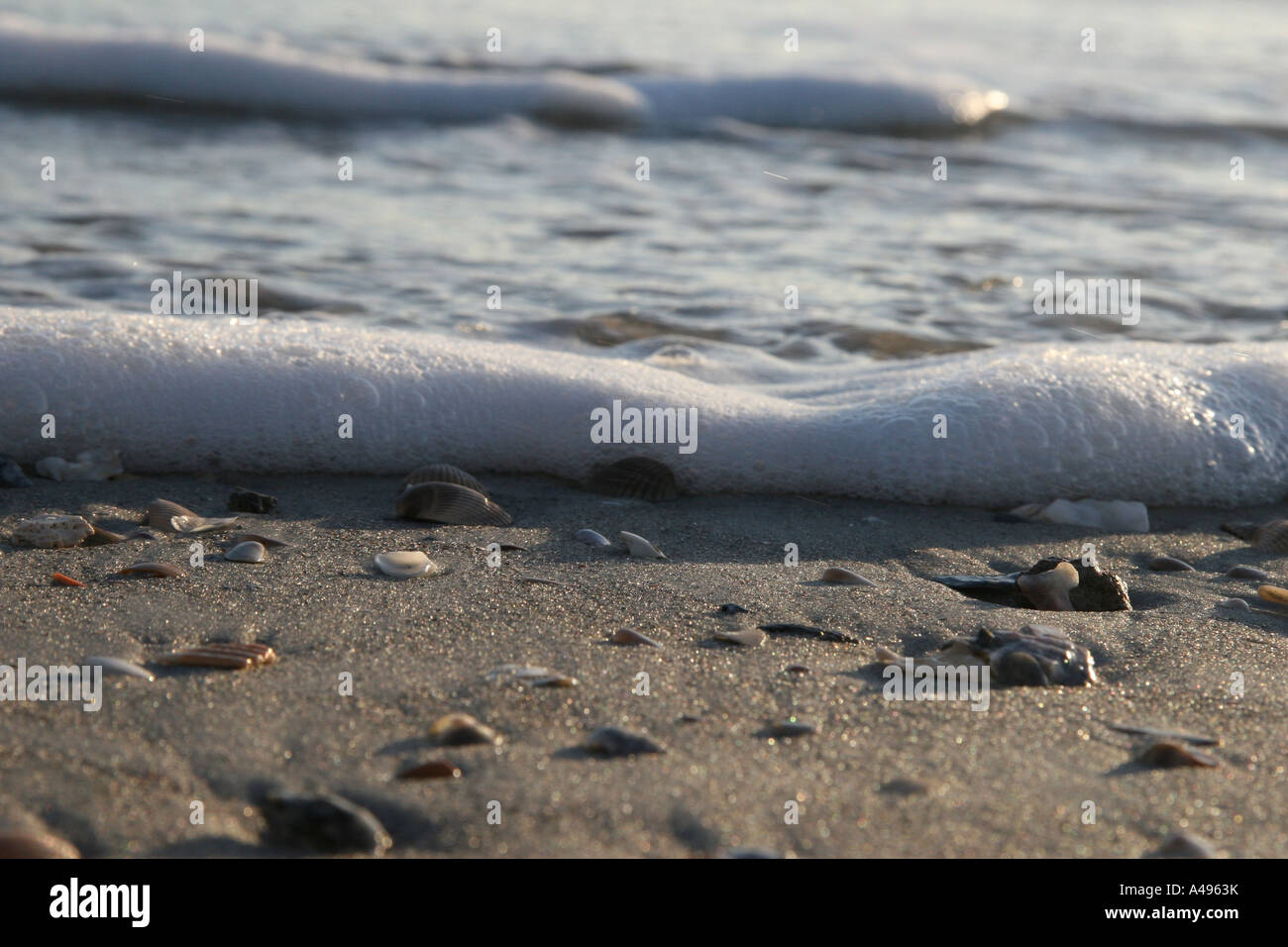 Waves brings shells to beach Stock Photo - Alamy