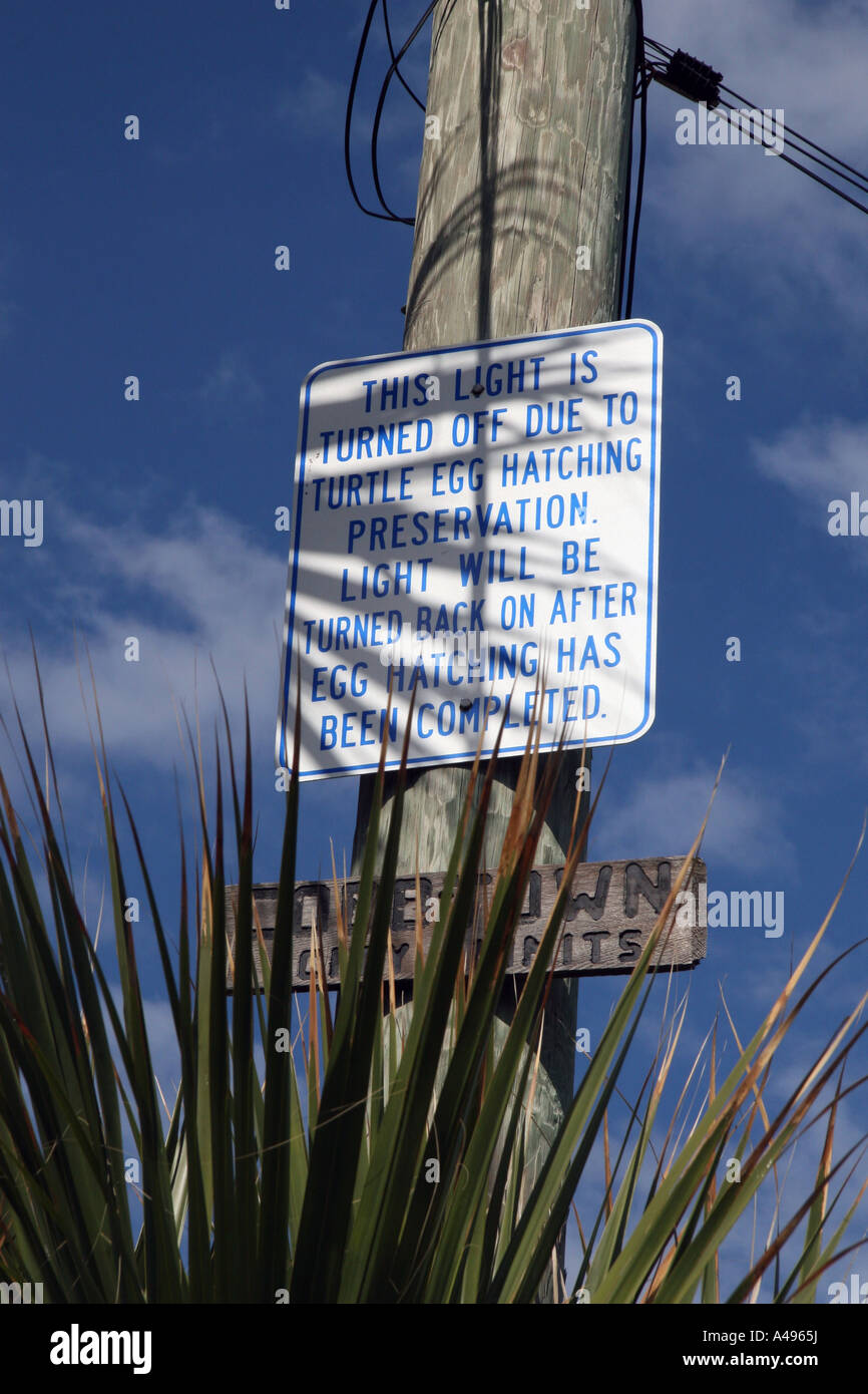 Turtle hatching sign in Florida Stock Photo - Alamy
