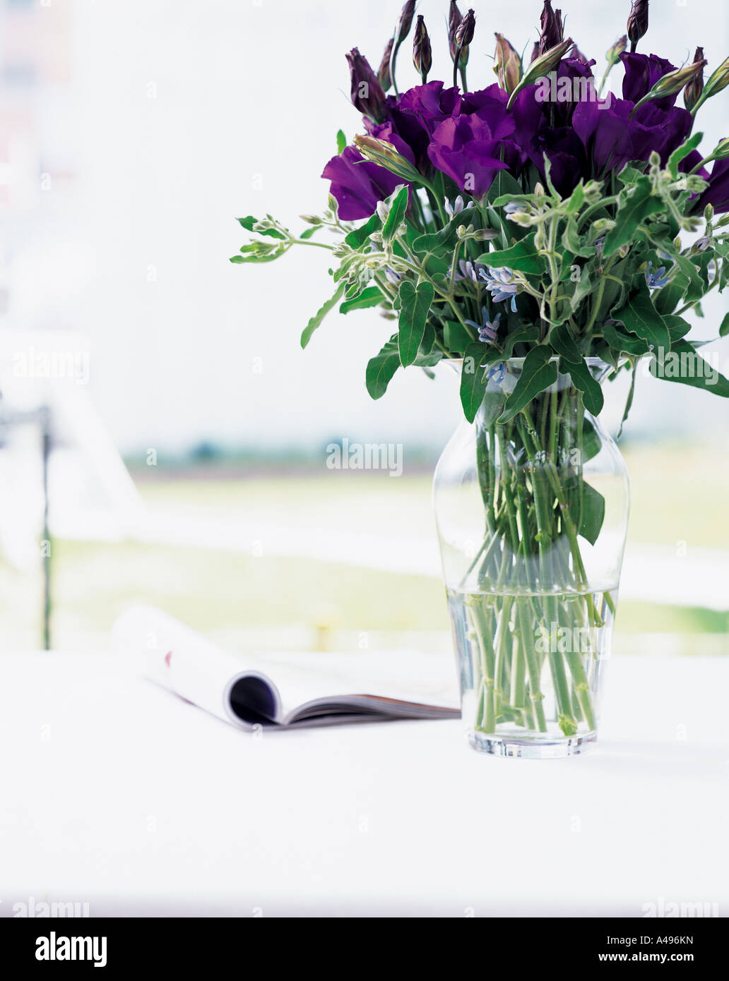 Close-up of flowers in a vase Stock Photo - Alamy