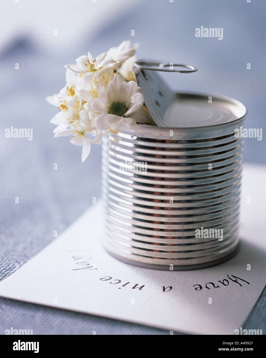 Flower in a tin can hi-res stock photography and images - Alamy