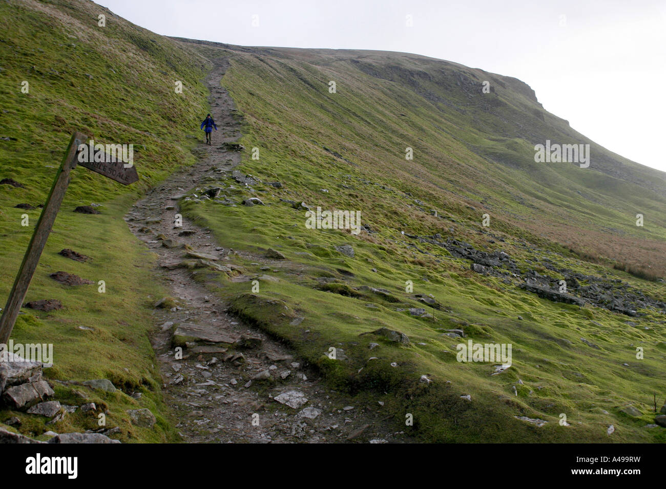 Pennine Way, Pen-y-ghent, Yorkshire Dales Stock Photo - Alamy