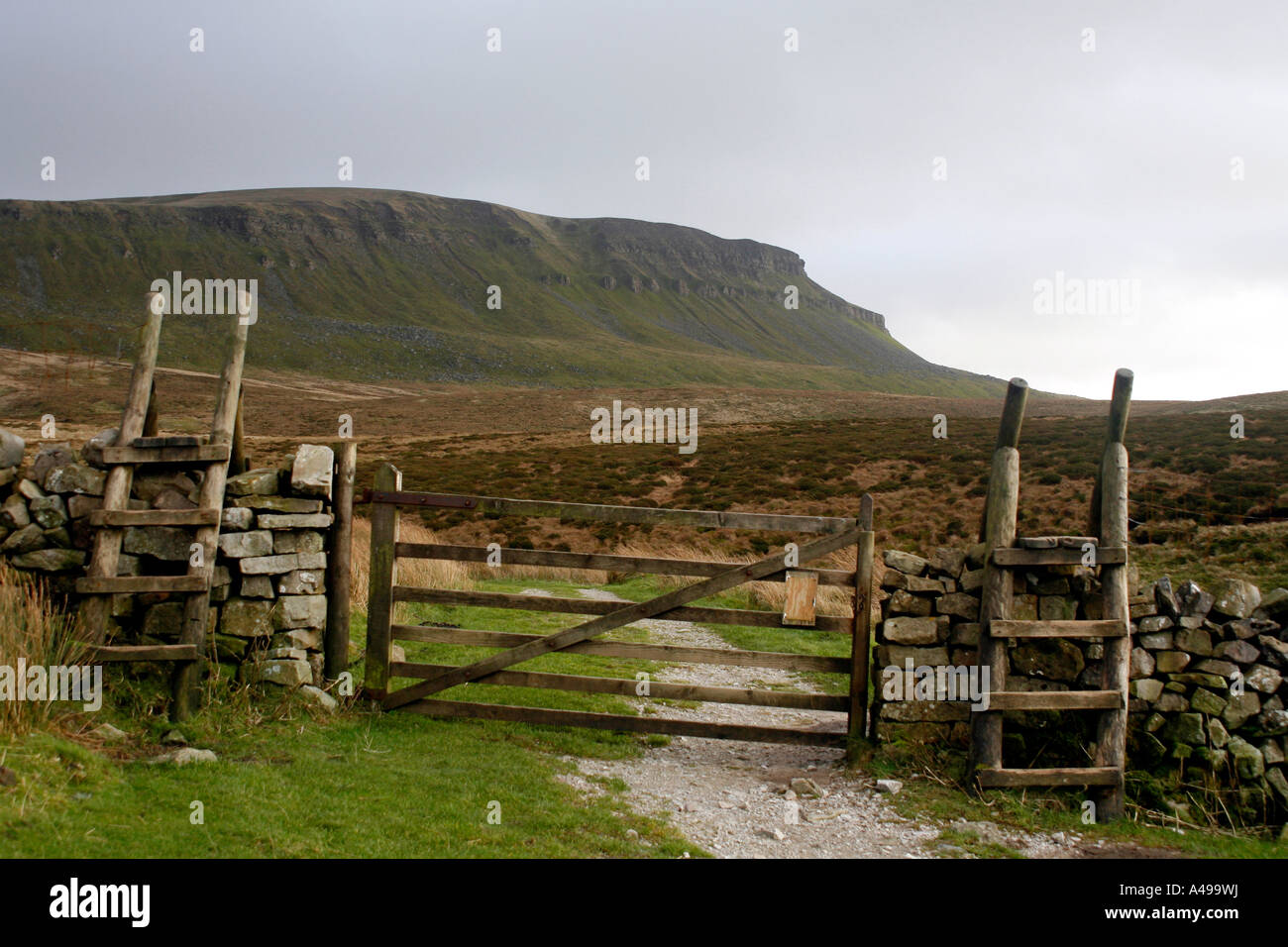 Stiles on the path to Pen-y-ghent Stock Photo - Alamy
