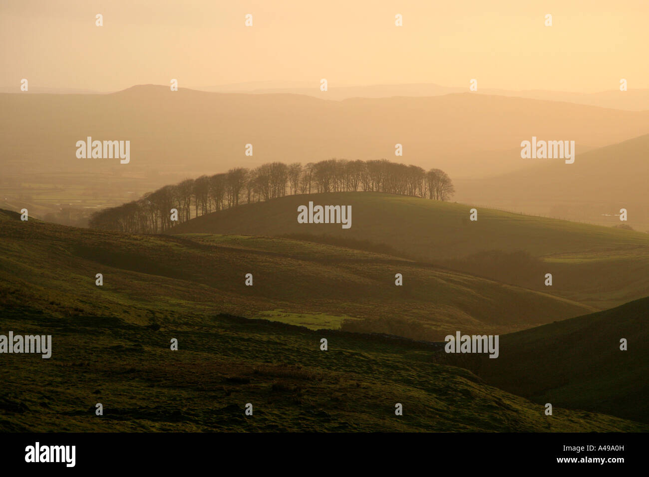 The golden way plantation hi-res stock photography and images - Alamy