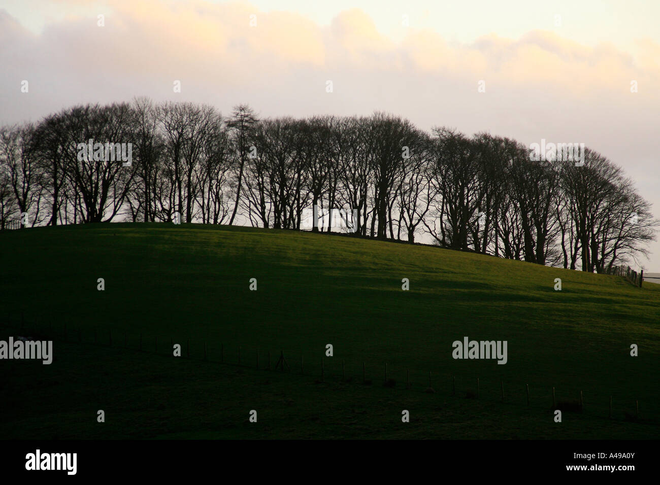 Trees skyline dales hi-res stock photography and images - Alamy