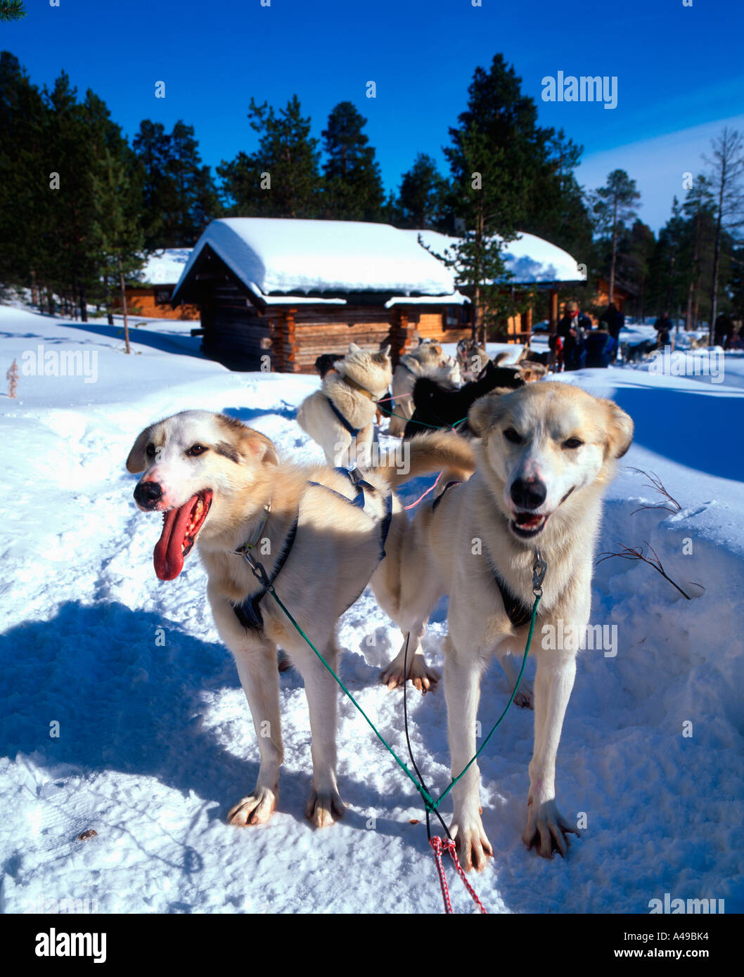 Alaskan geography hi-res stock photography and images - Alamy