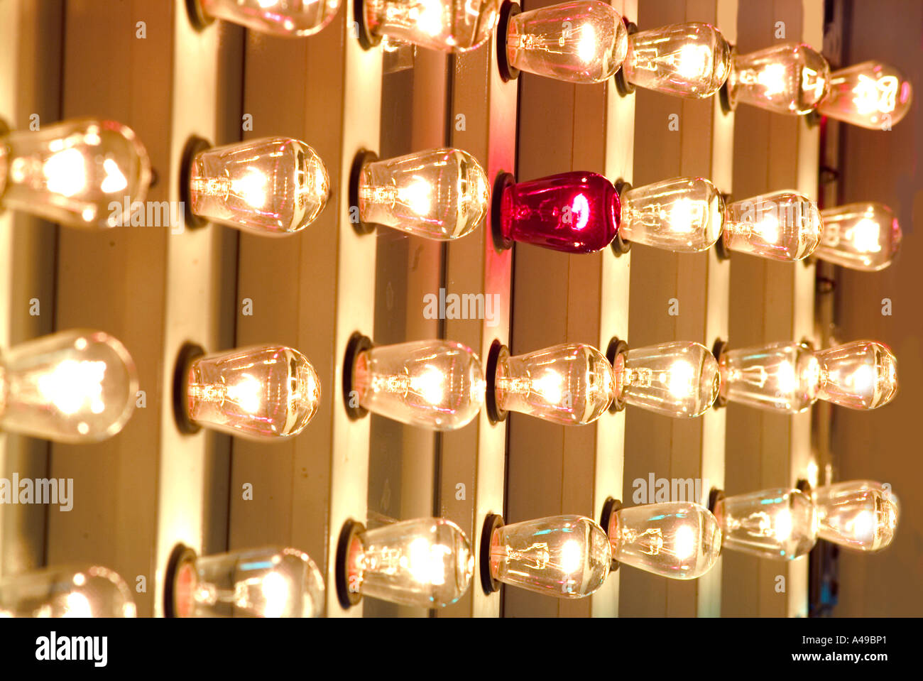 Multiple clear neon light bulbs with stand out individual single red ...