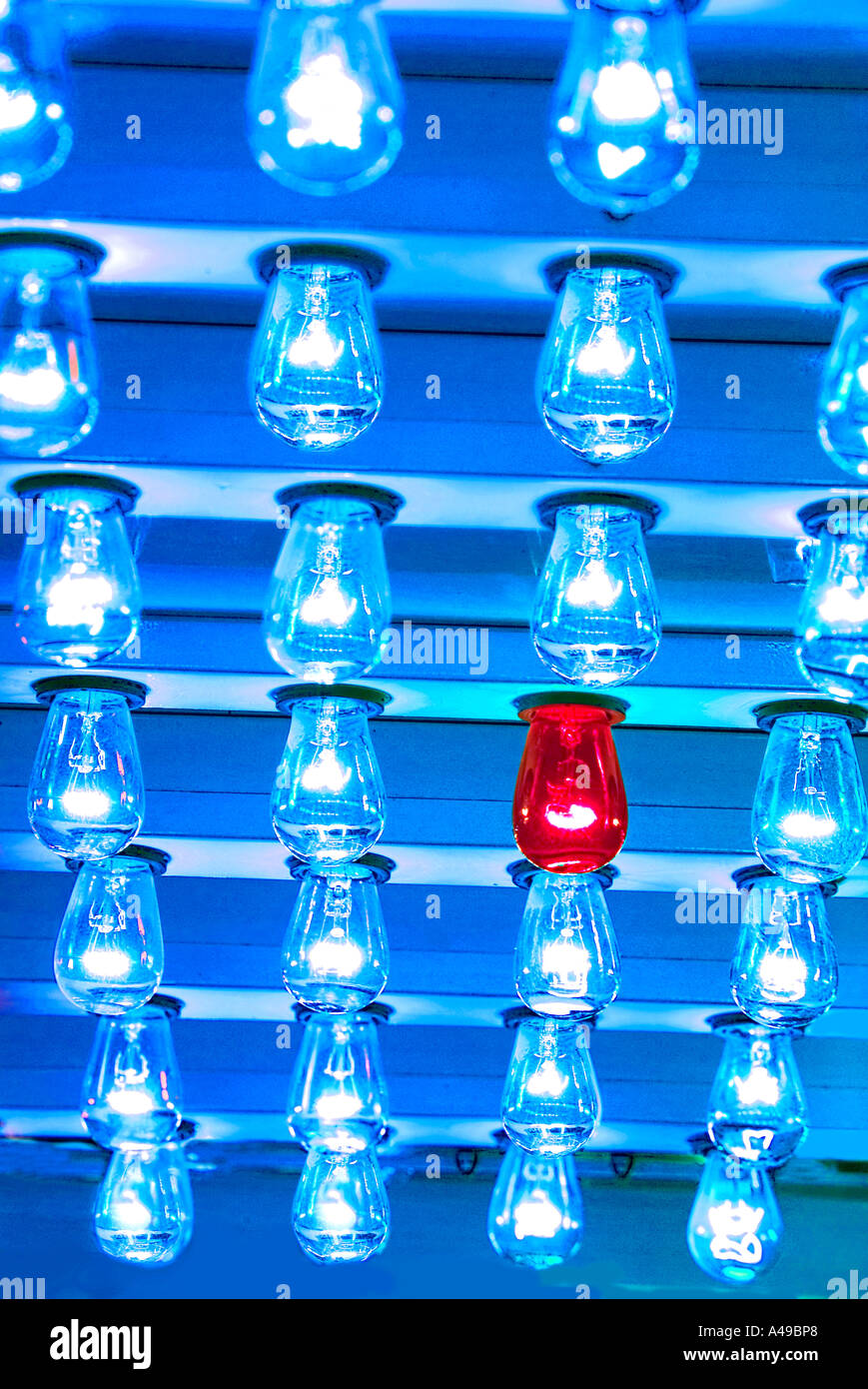 Multiple neon light bulbs with stand out individual single red one ...