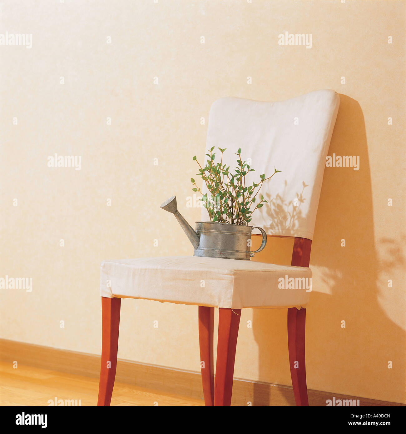 Potted plant on a chair Stock Photo - Alamy