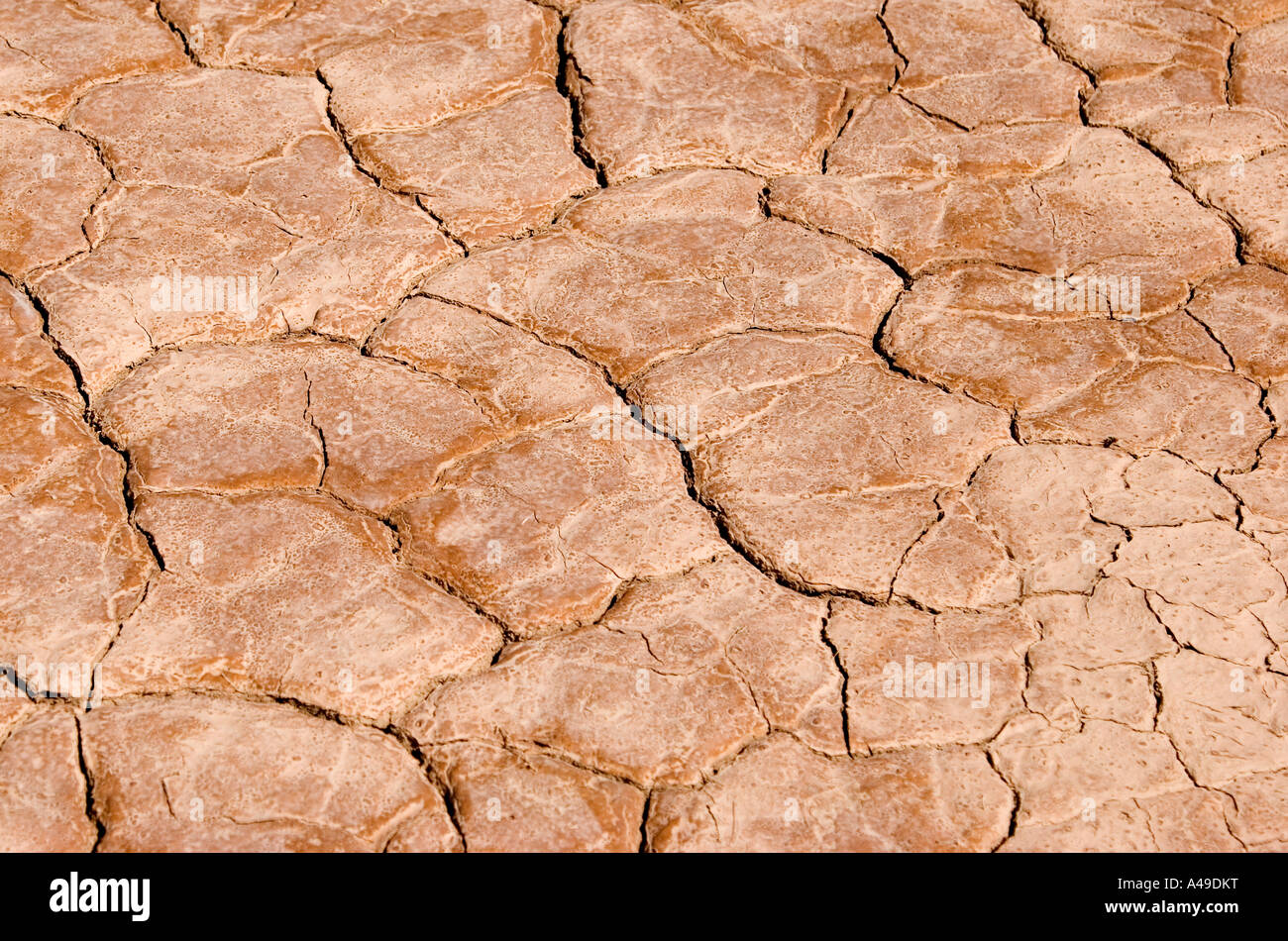 Parched earth hi-res stock photography and images - Alamy