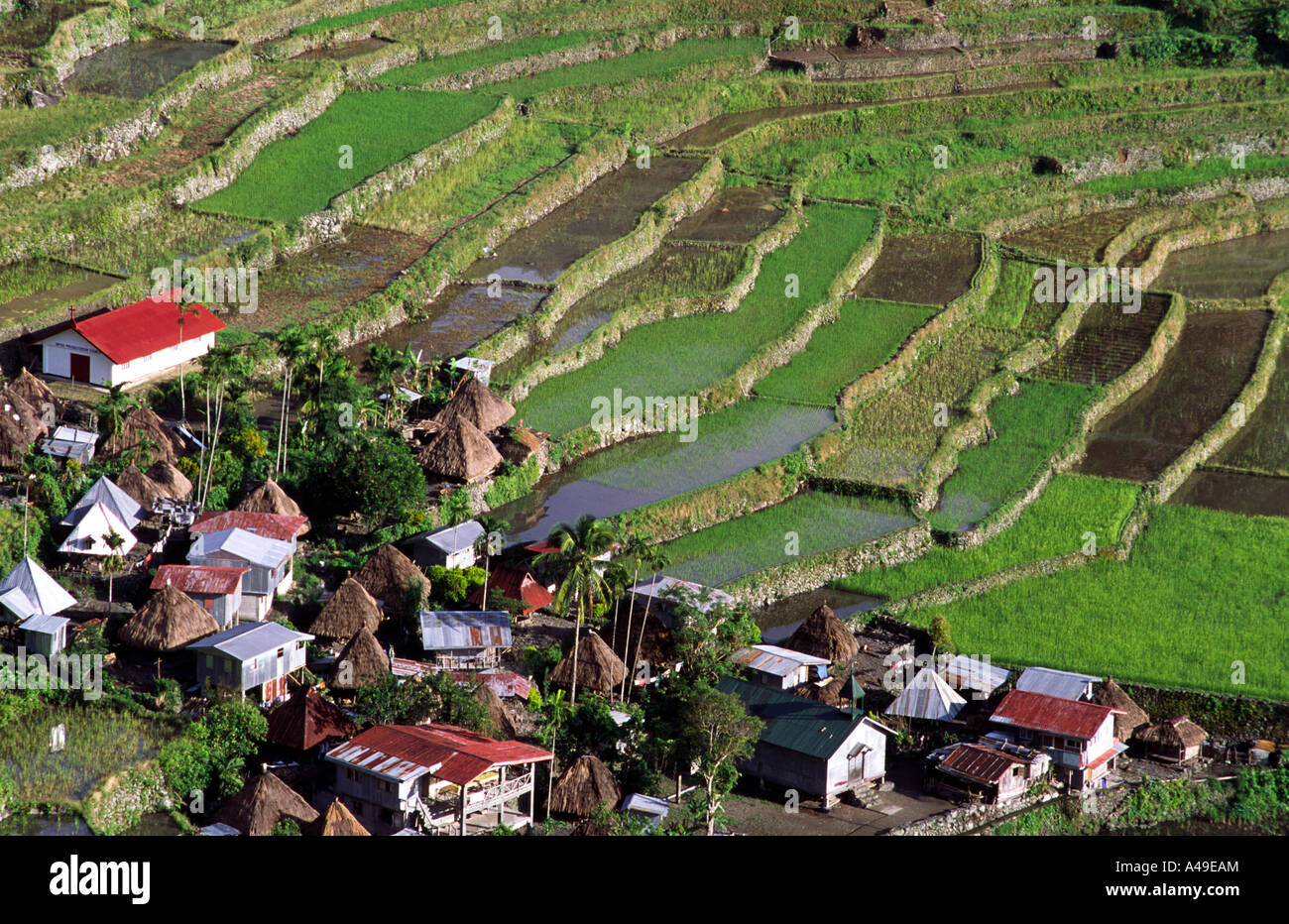 Batad village among rice terraces North Luzon Philippines Southeast ...
