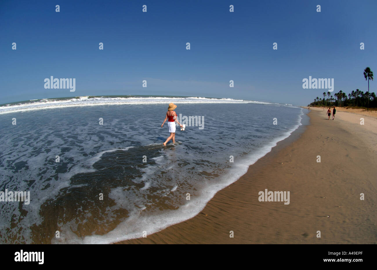 Gambia, Fajara beach The Gambia West Africa one of the most popular ...