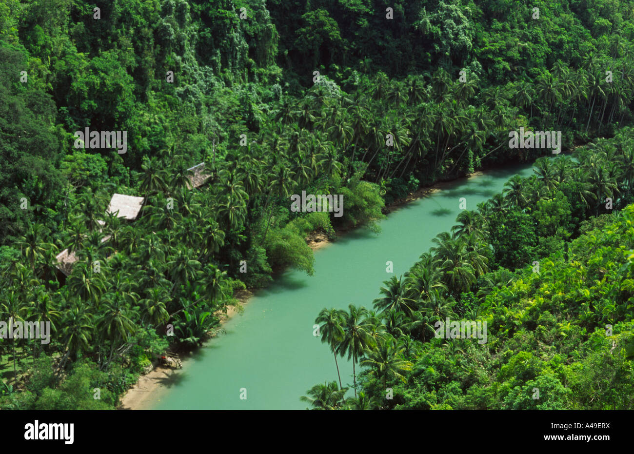 Loboc river scenery Bohol Philippines Southeast Asia Stock Photo - Alamy