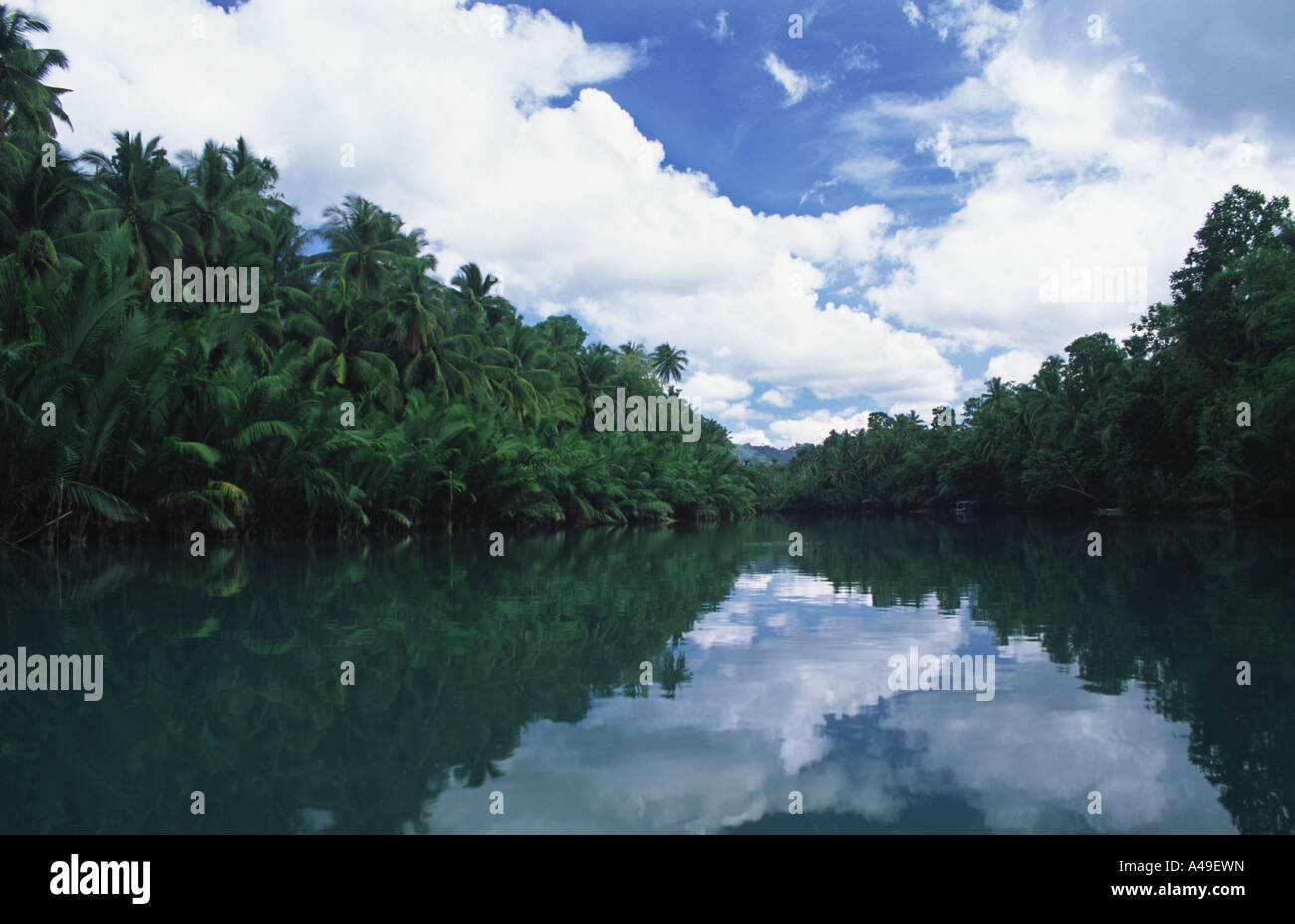 Loboc river scenery Bohol Philippines Southeast Asia Stock Photo - Alamy