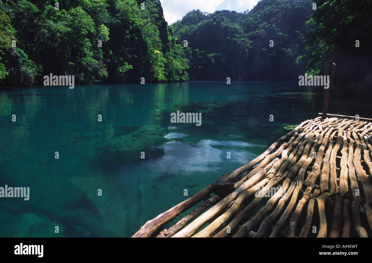 Kayanga lake, the cleanest lake in the Philippines, Coron Island ...