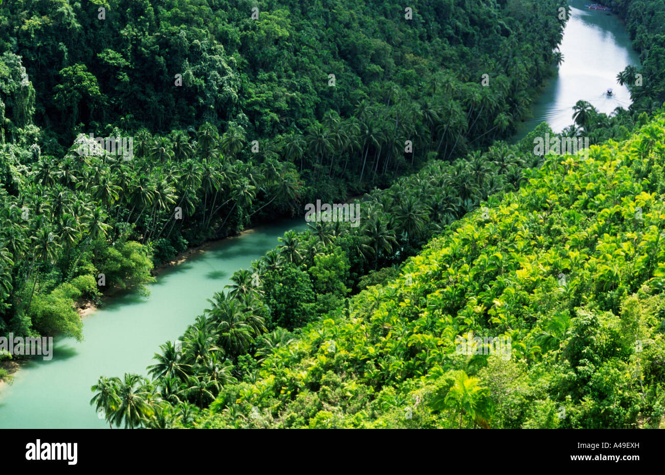 Loboc river scenery Bohol Philippines Southeast Asia Stock Photo - Alamy