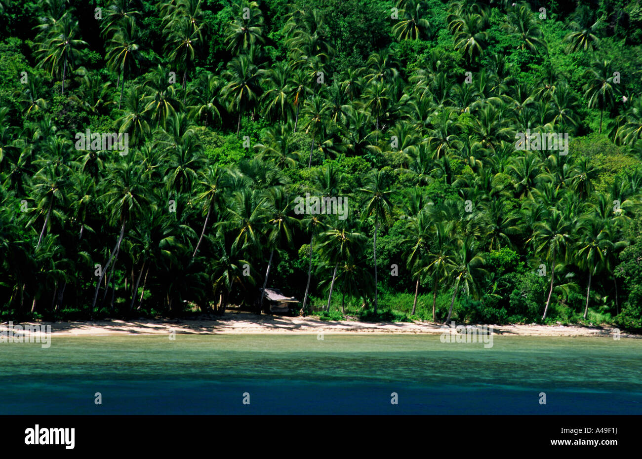 Beach hut Bacuit archipelago Palawan Philippines South East Asia Stock ...