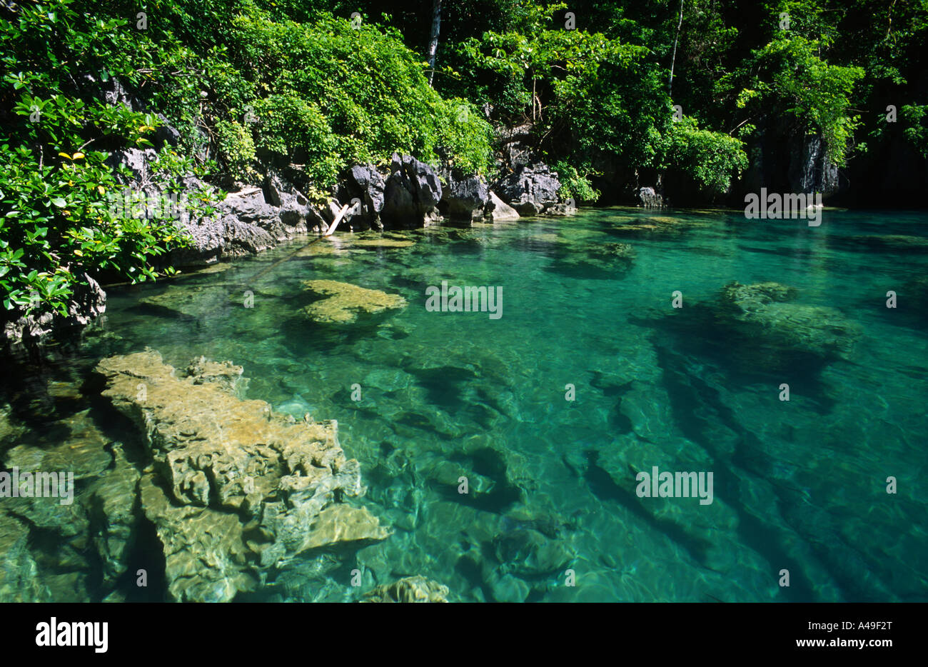 Kayanga lake, the cleanest lake in the Philippines, Coron Island ...