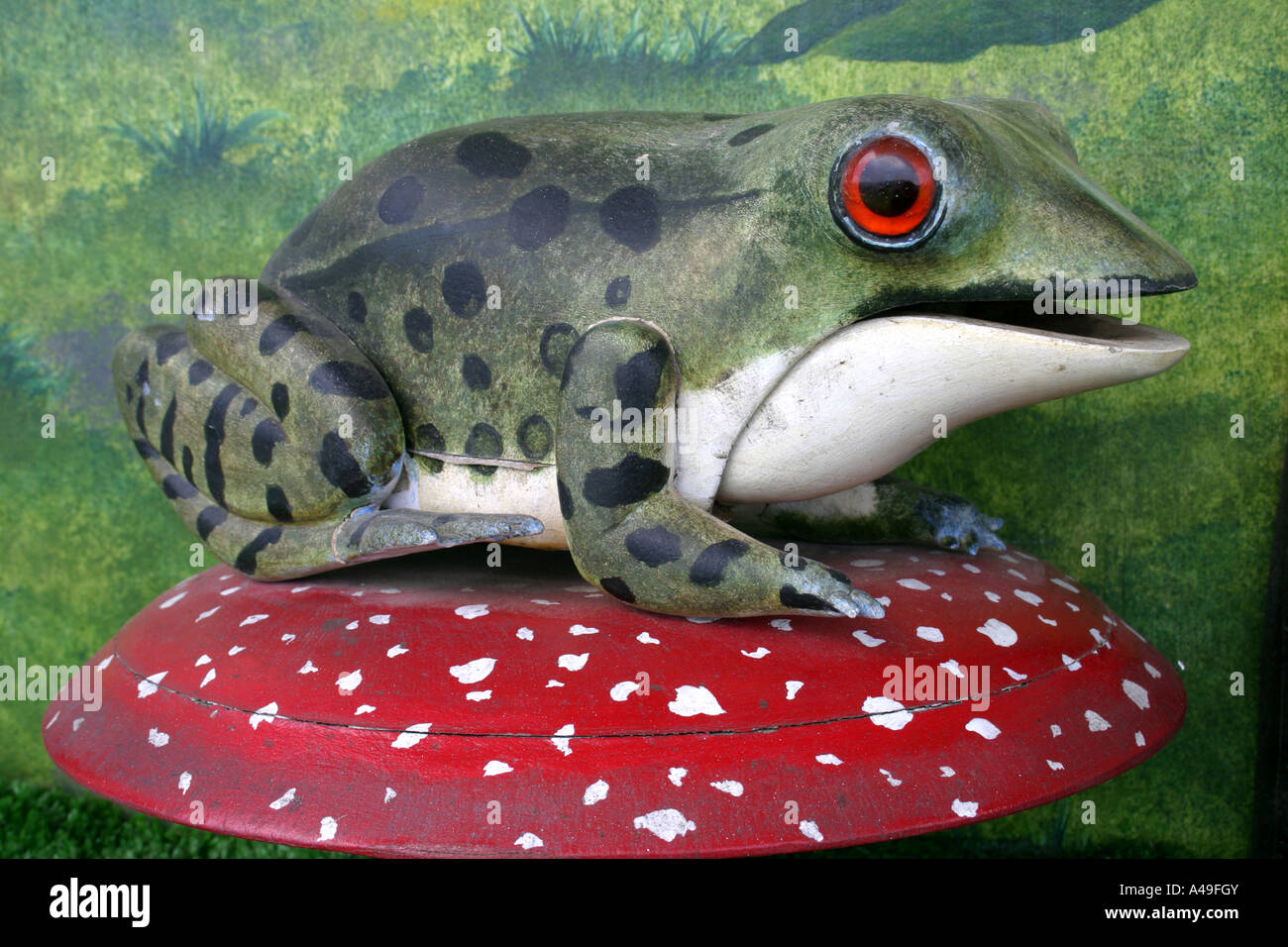 Toadstool frog hi-res stock photography and images - Alamy