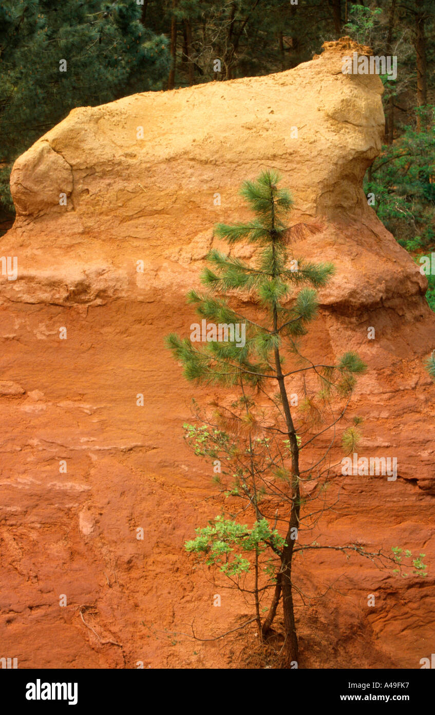 Ocker hi-res stock photography and images - Alamy