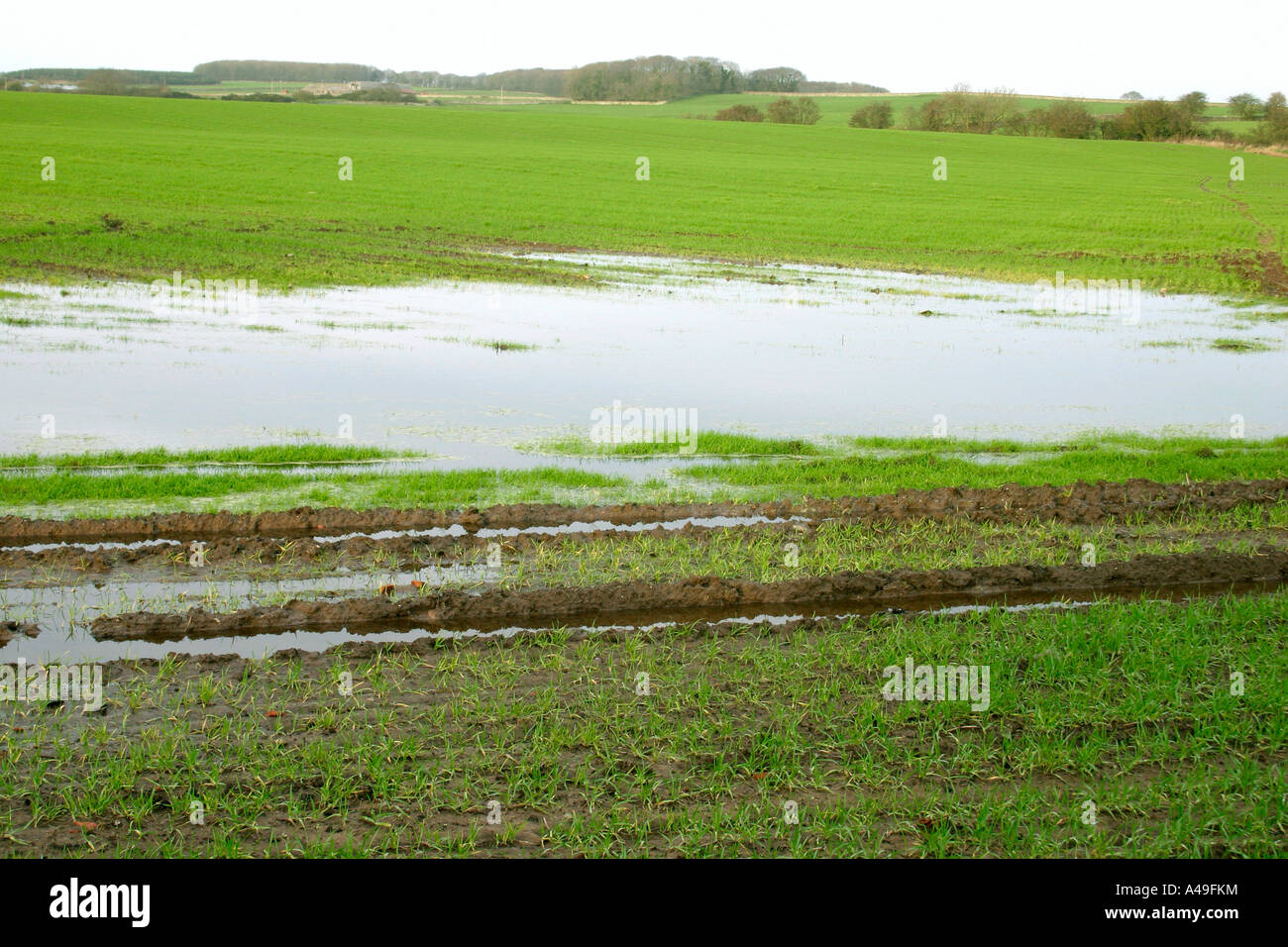 Scotland farm flooding hi-res stock photography and images - Alamy