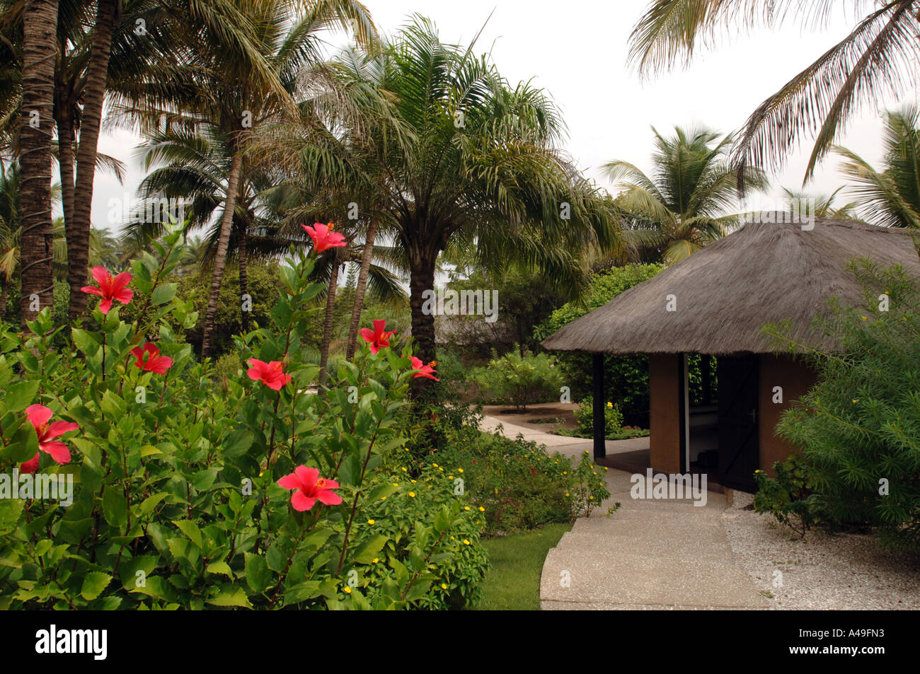 Senegal, Gardens Le Kalissai Hotel Abene Casamance Southern Senegal ...