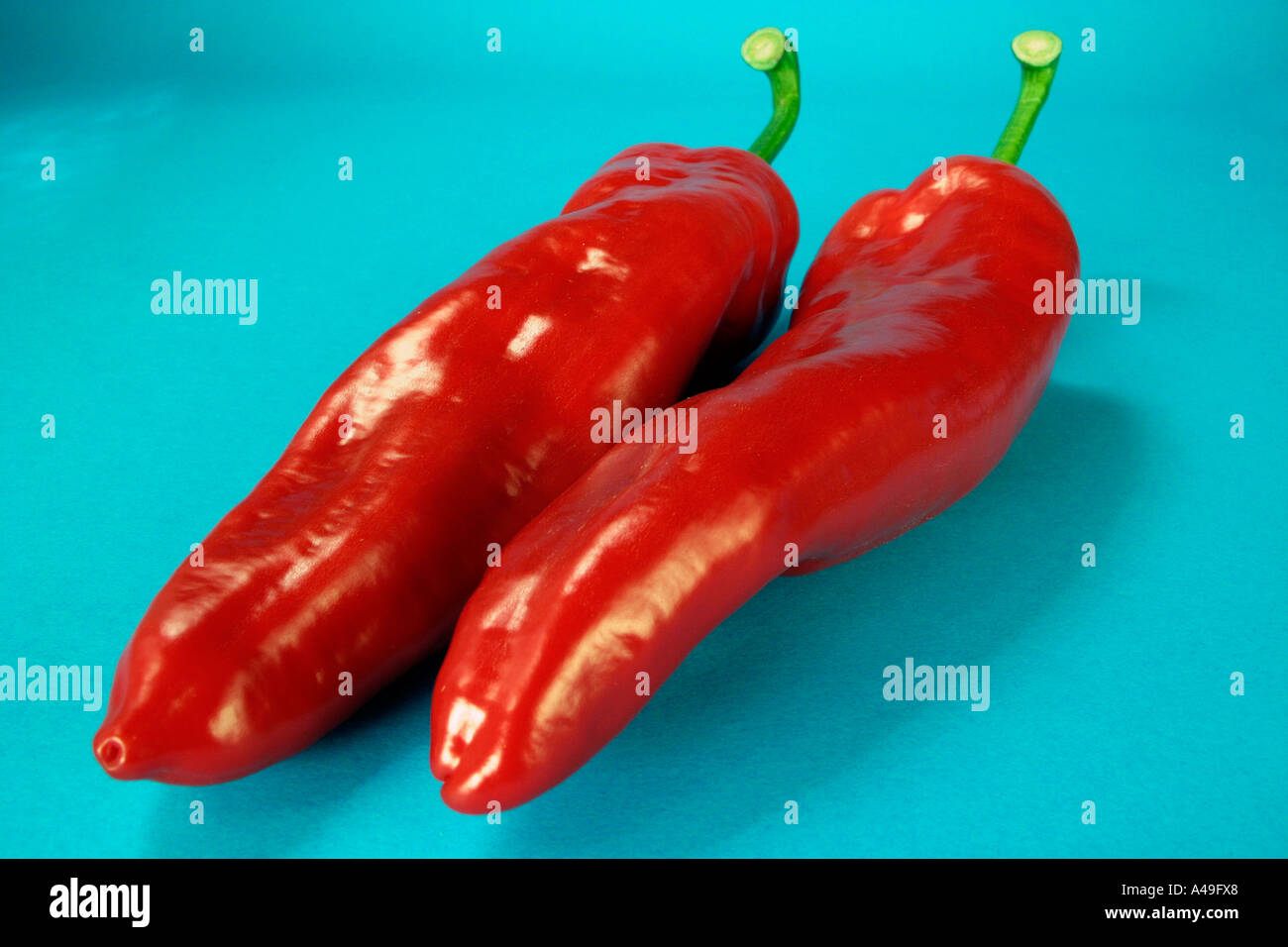 long red peppers on light blue background Stock Photo - Alamy