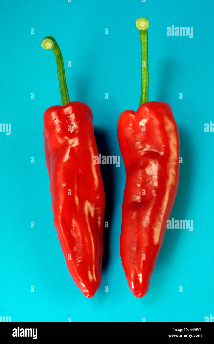 long red peppers on light blue background Stock Photo - Alamy