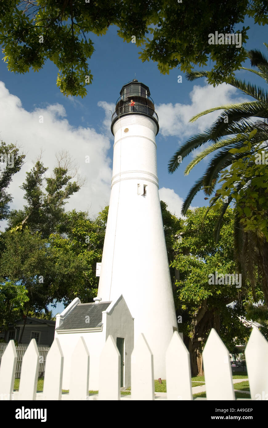 USA Florida Keys Woman in red top viewing scenes from top of The Key ...