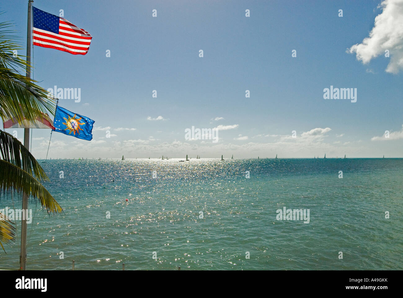 USA Florida Keys Key West View of flags flying and sailboats in the ...