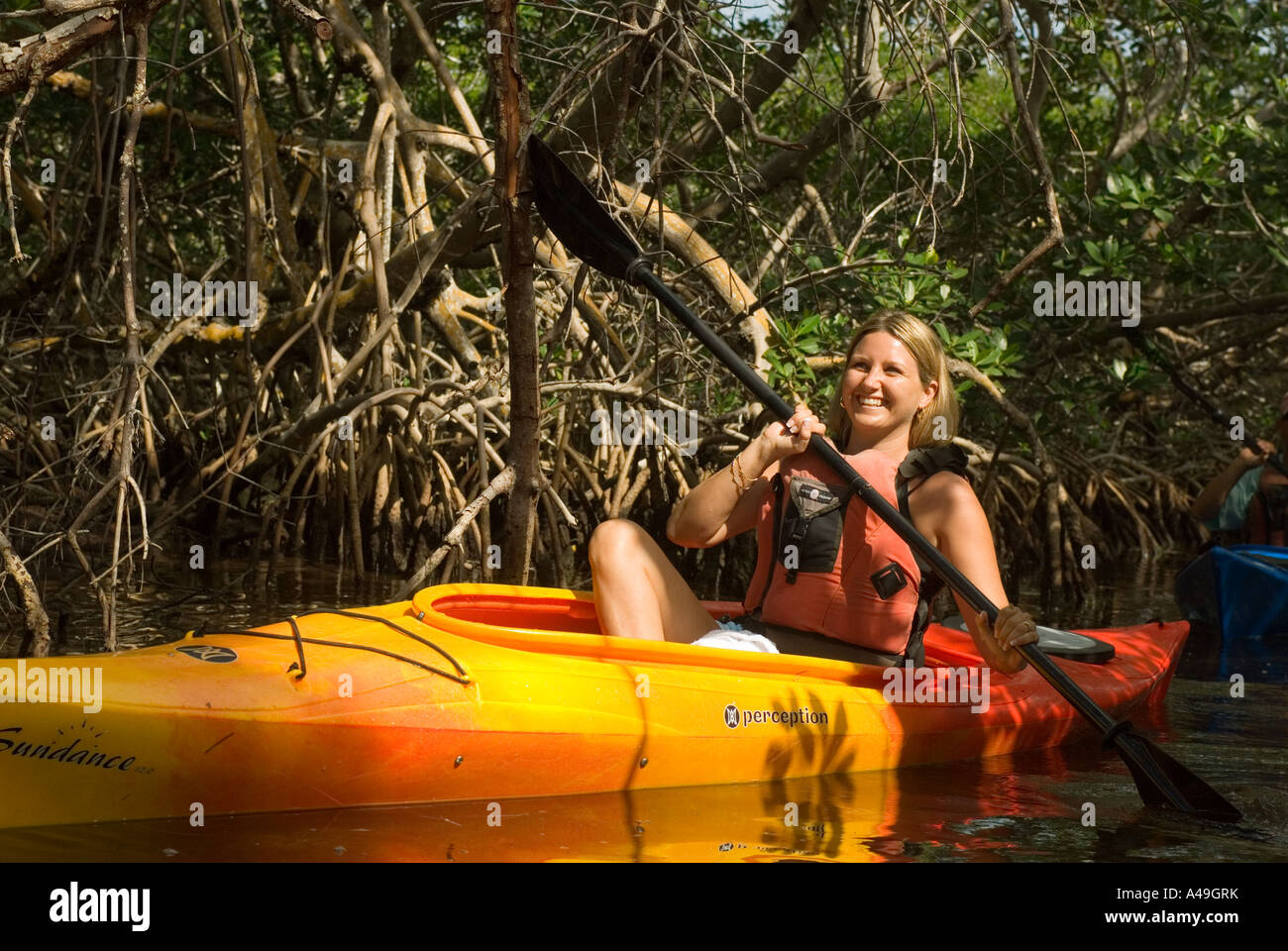 USA Florida Keys Attractive woman kayaking in the mangroves with Big ...