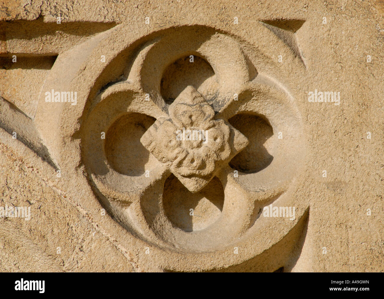 A decorative rose carved in the stone of the new Bury St Edmunds ...