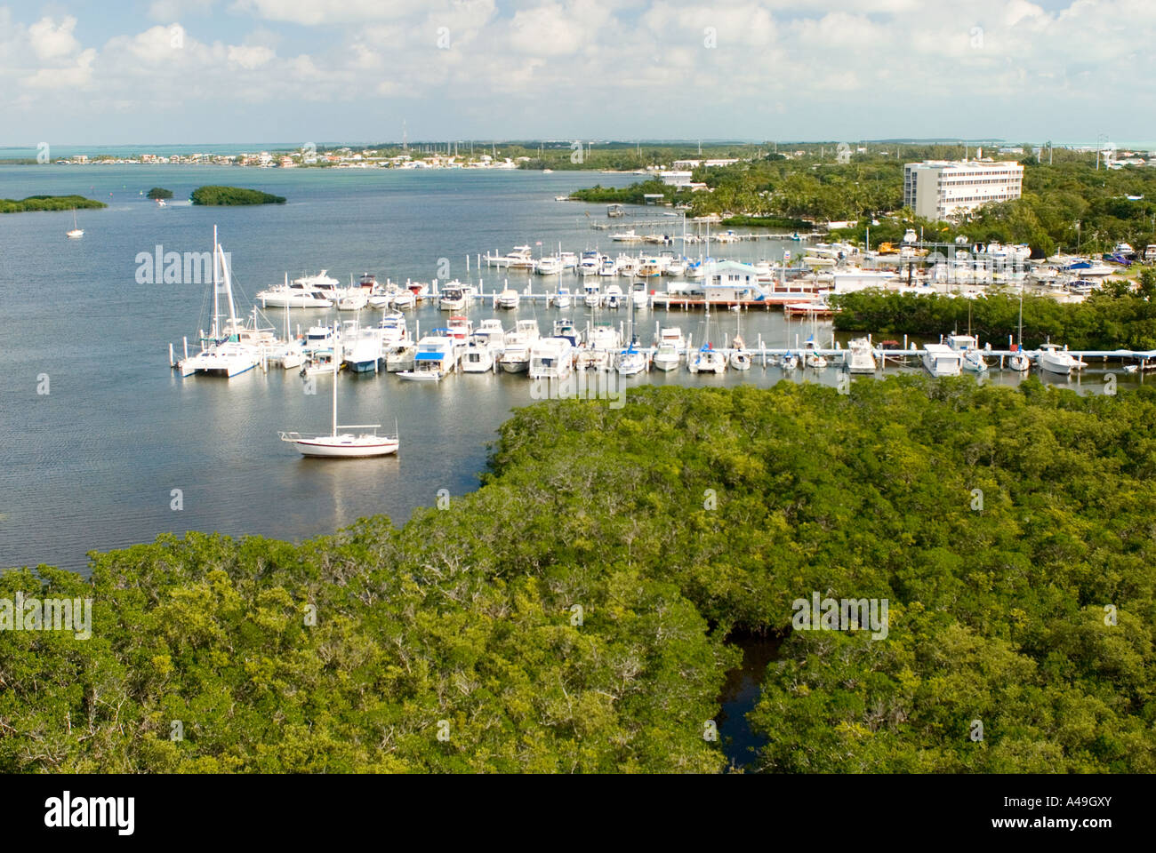 USA Florida Keys Aerial view of marina Islamorada Island Fl Stock Photo ...