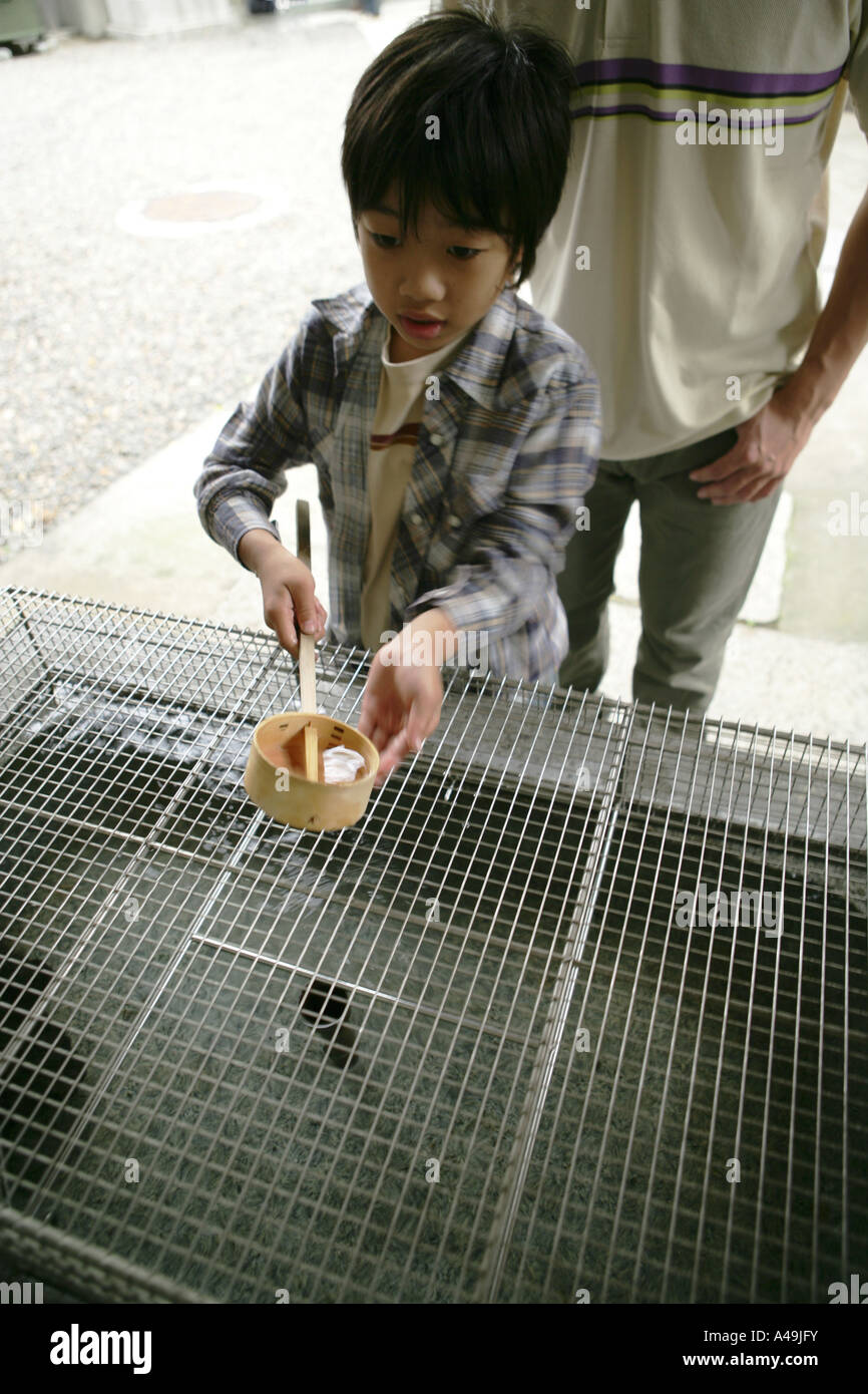 Boy holding a wooden ladle Stock Photo - Alamy