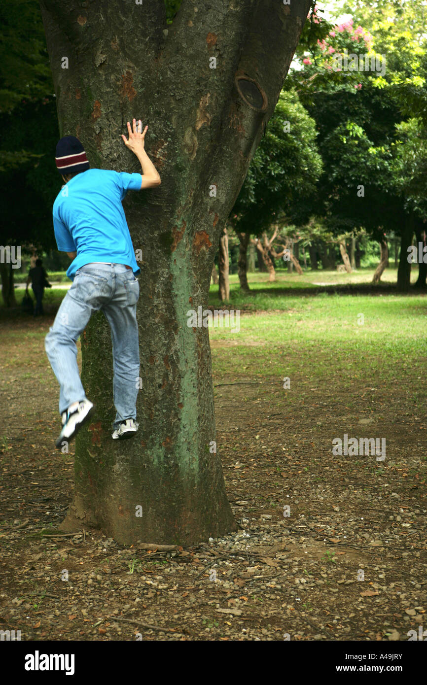 Rear view of a young man climbing a tree Stock Photo - Alamy