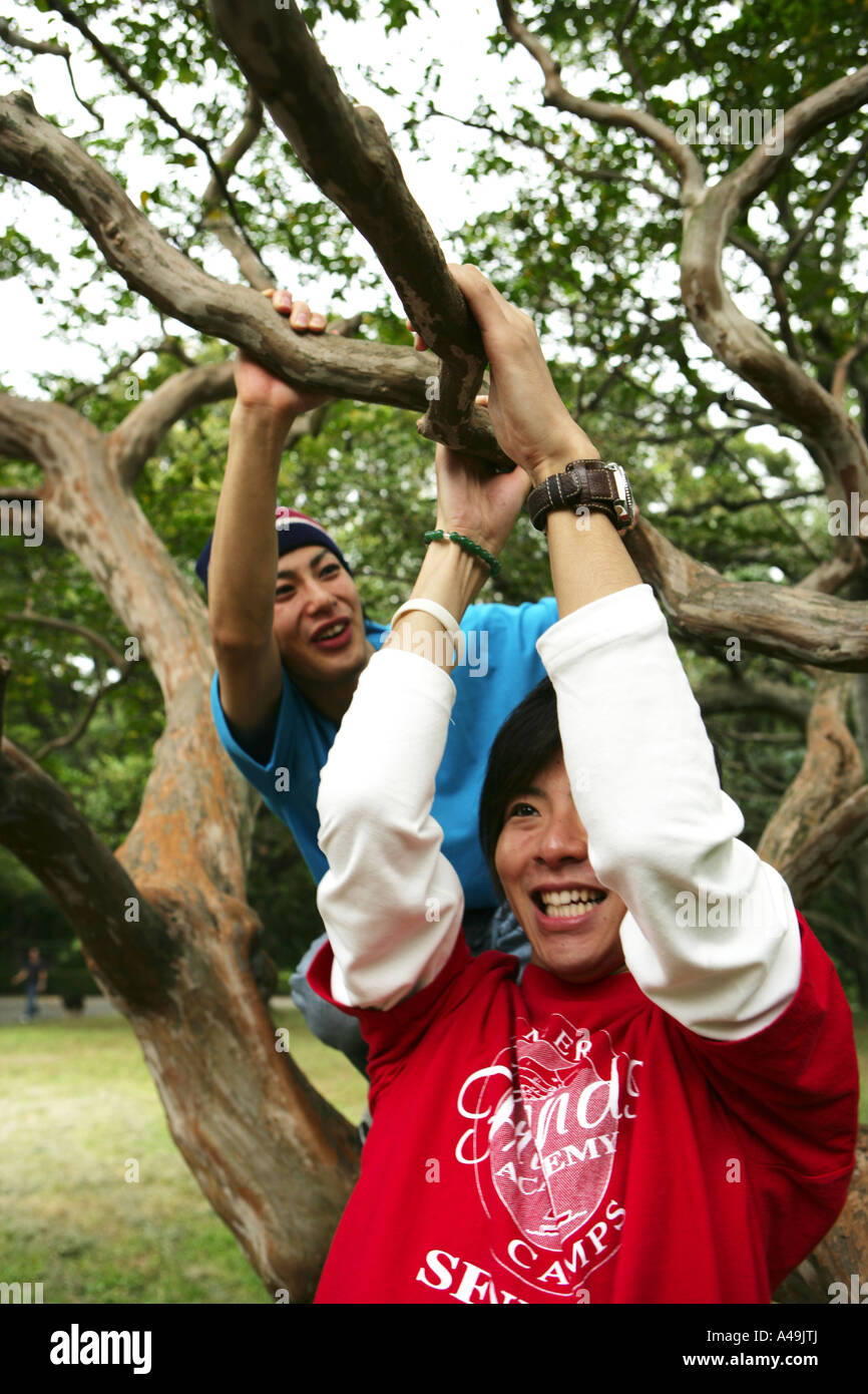 Close up of two young men hanging from the branch of a tree Stock Photo ...