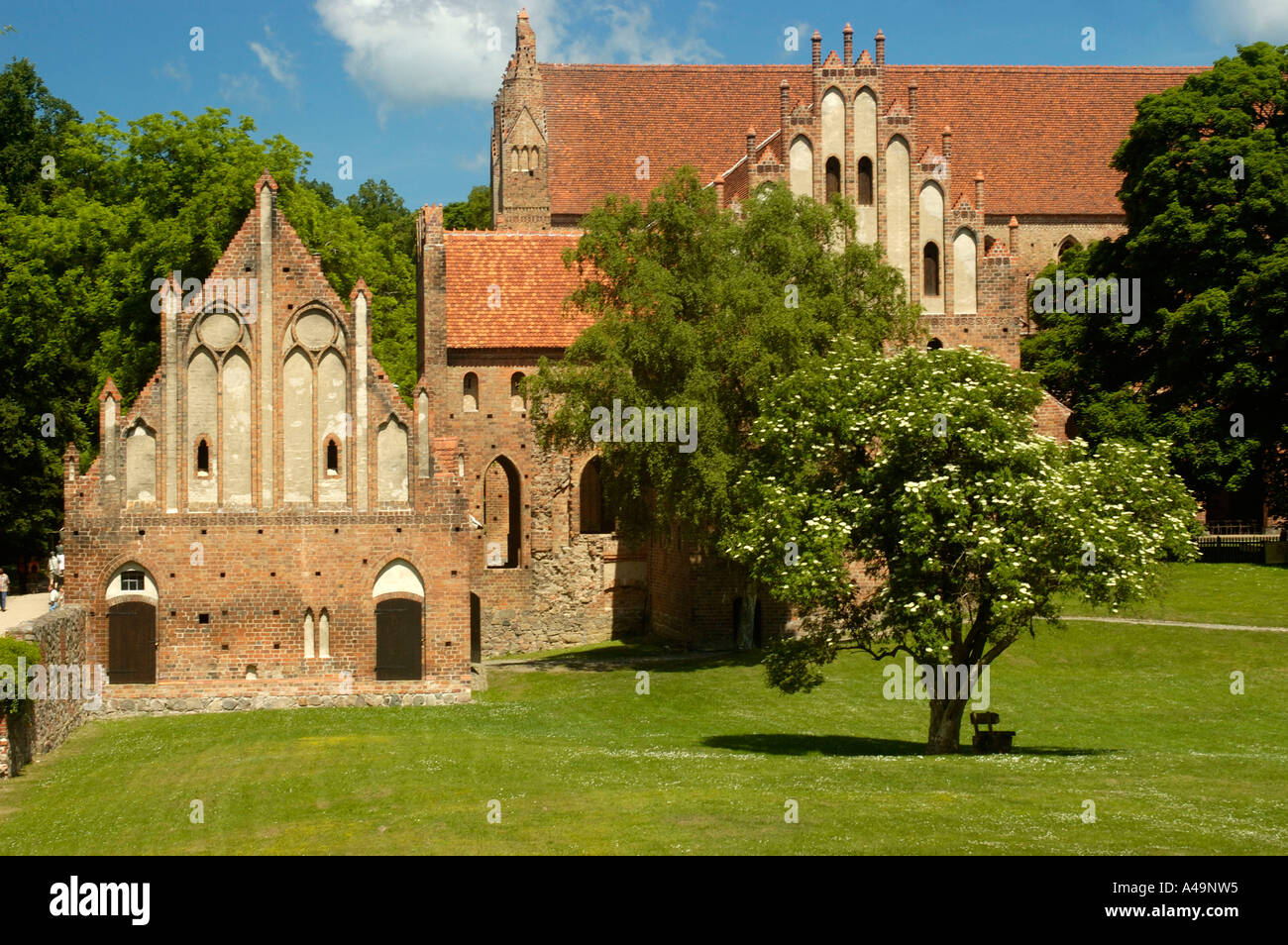 Cistercian monastery Chorin / Zisterzienserkloster Chorin Stock Photo ...