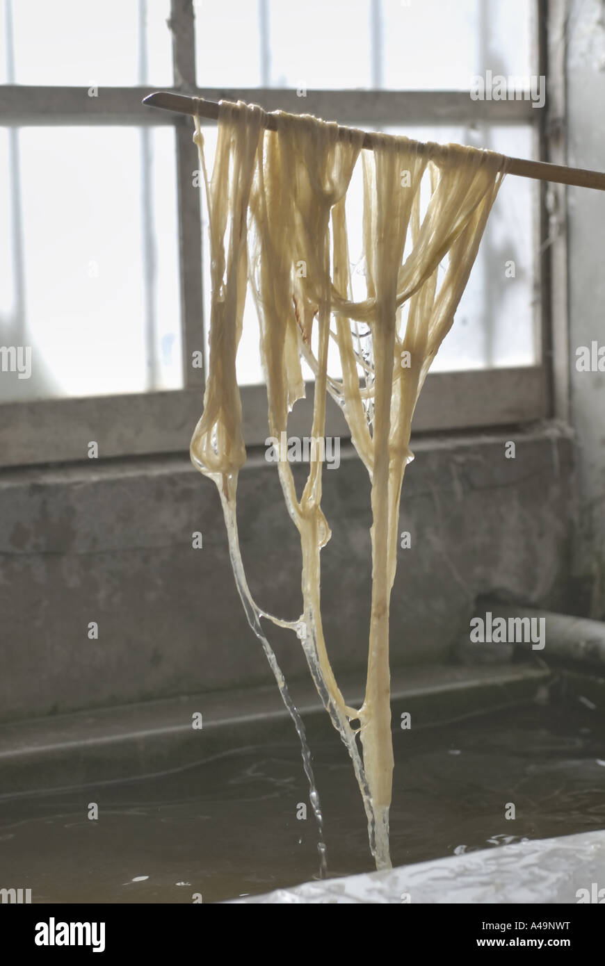 Close up of water dripping of animal hide on a stick Stock Photo - Alamy