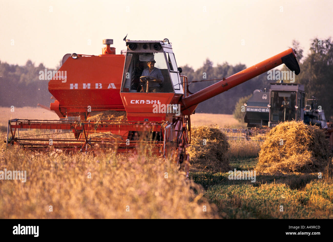 Kolkhoz farm hi-res stock photography and images - Alamy