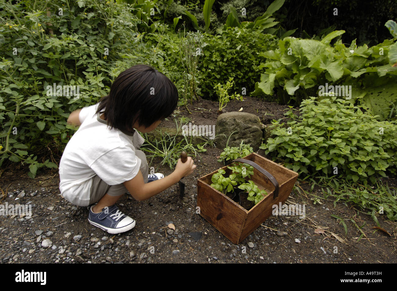 High angle view of a girl crouching in a garden Stock Photo - Alamy