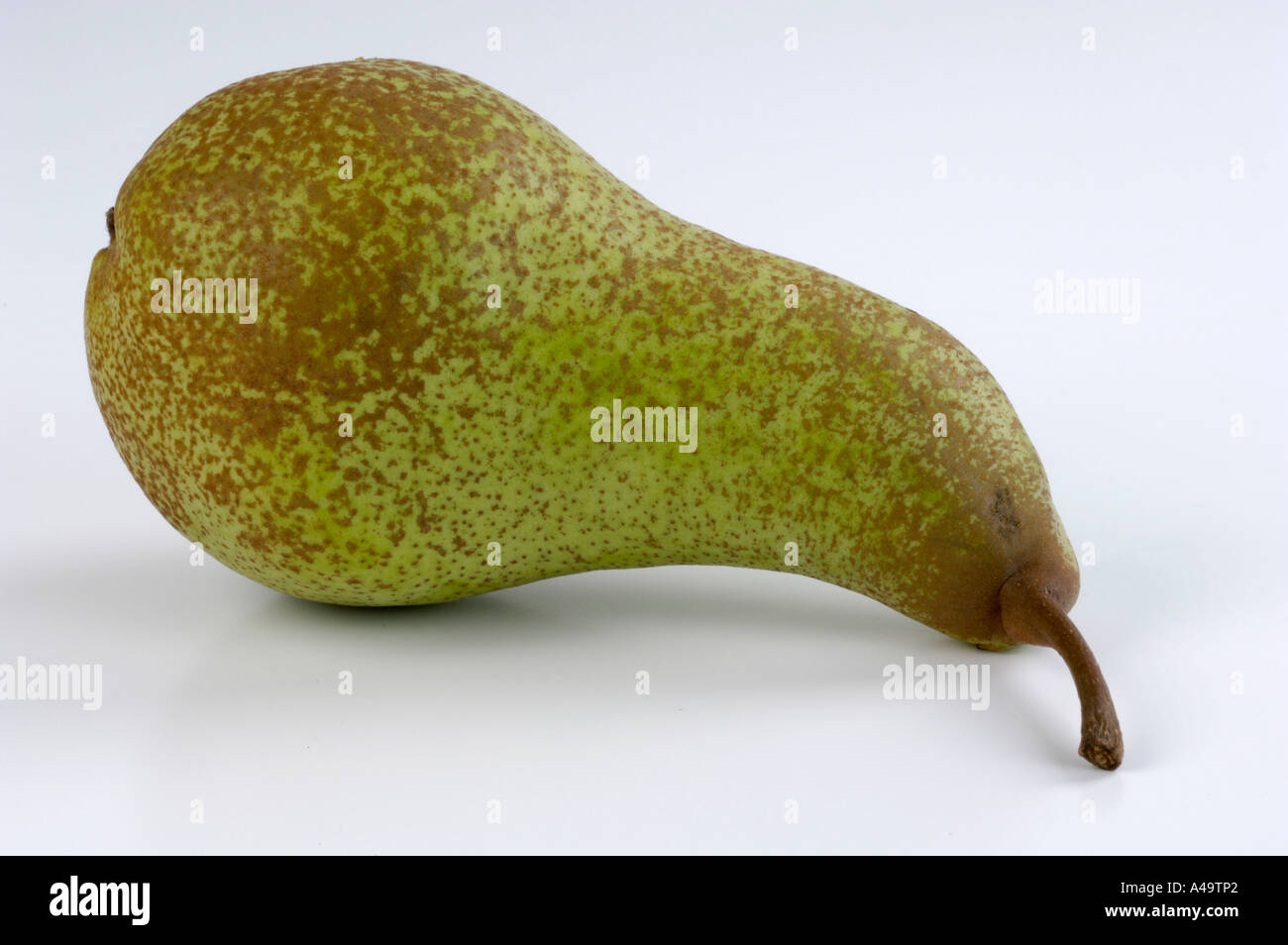 Pear / William Christ Stock Photo - Alamy
